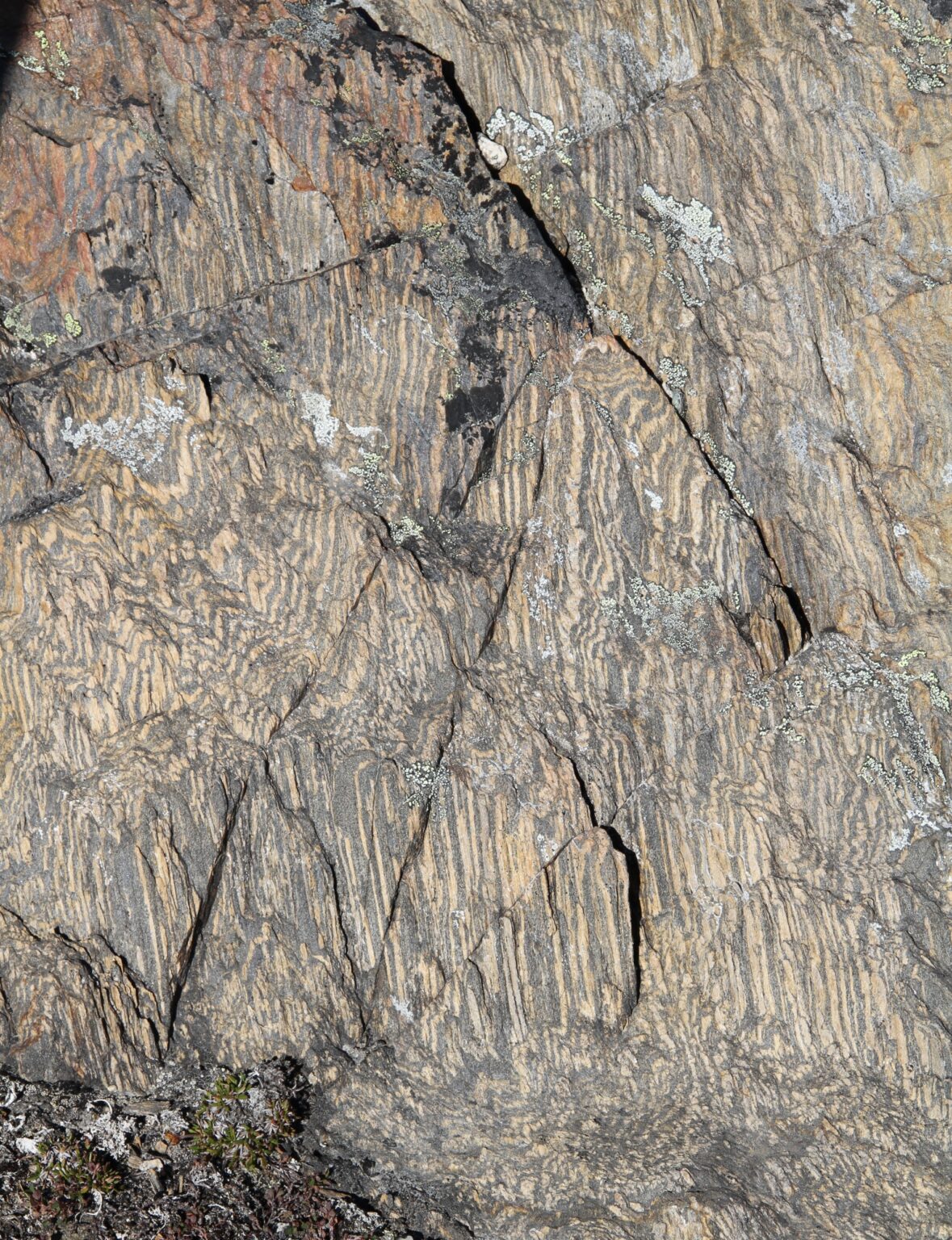 Geology in Greenland – Trap Greenland