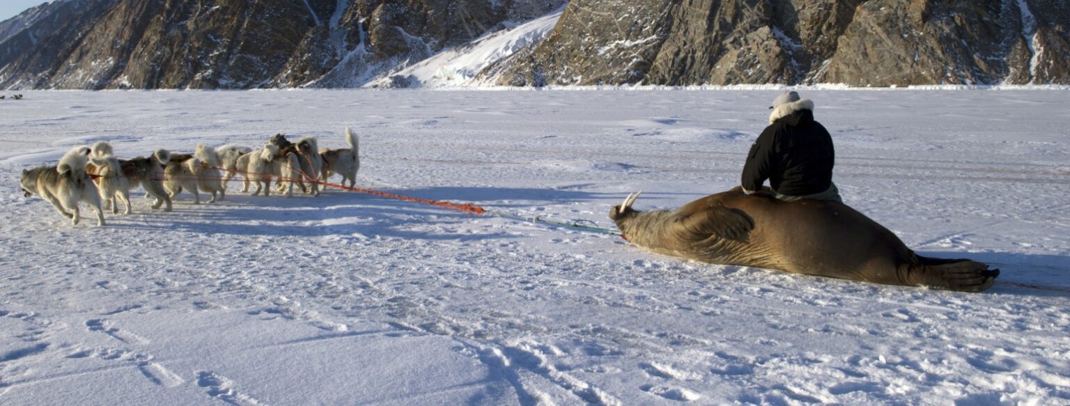 Inuit hunting culture – Trap Greenland