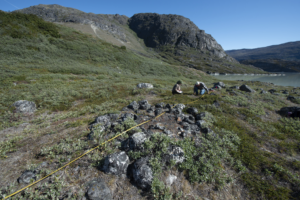 Agriculture in Greenland – Trap Greenland